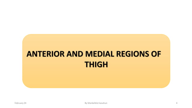 anterior medial compartment muscle neurovasculature femoral triangle ...