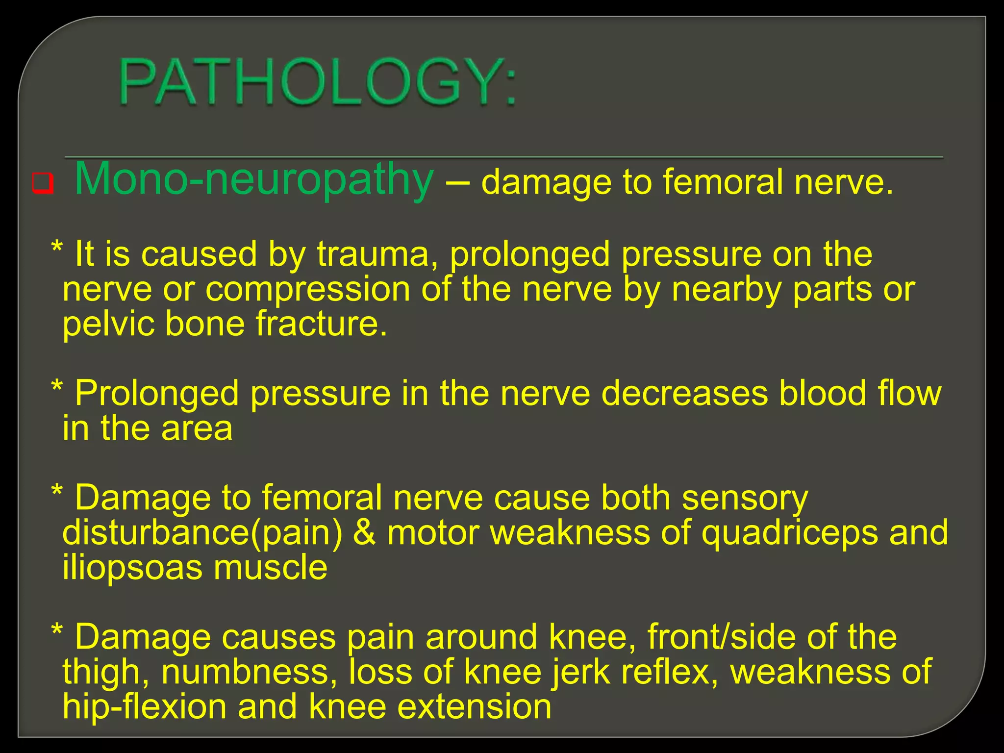Anatomy of thigh region | PPTX