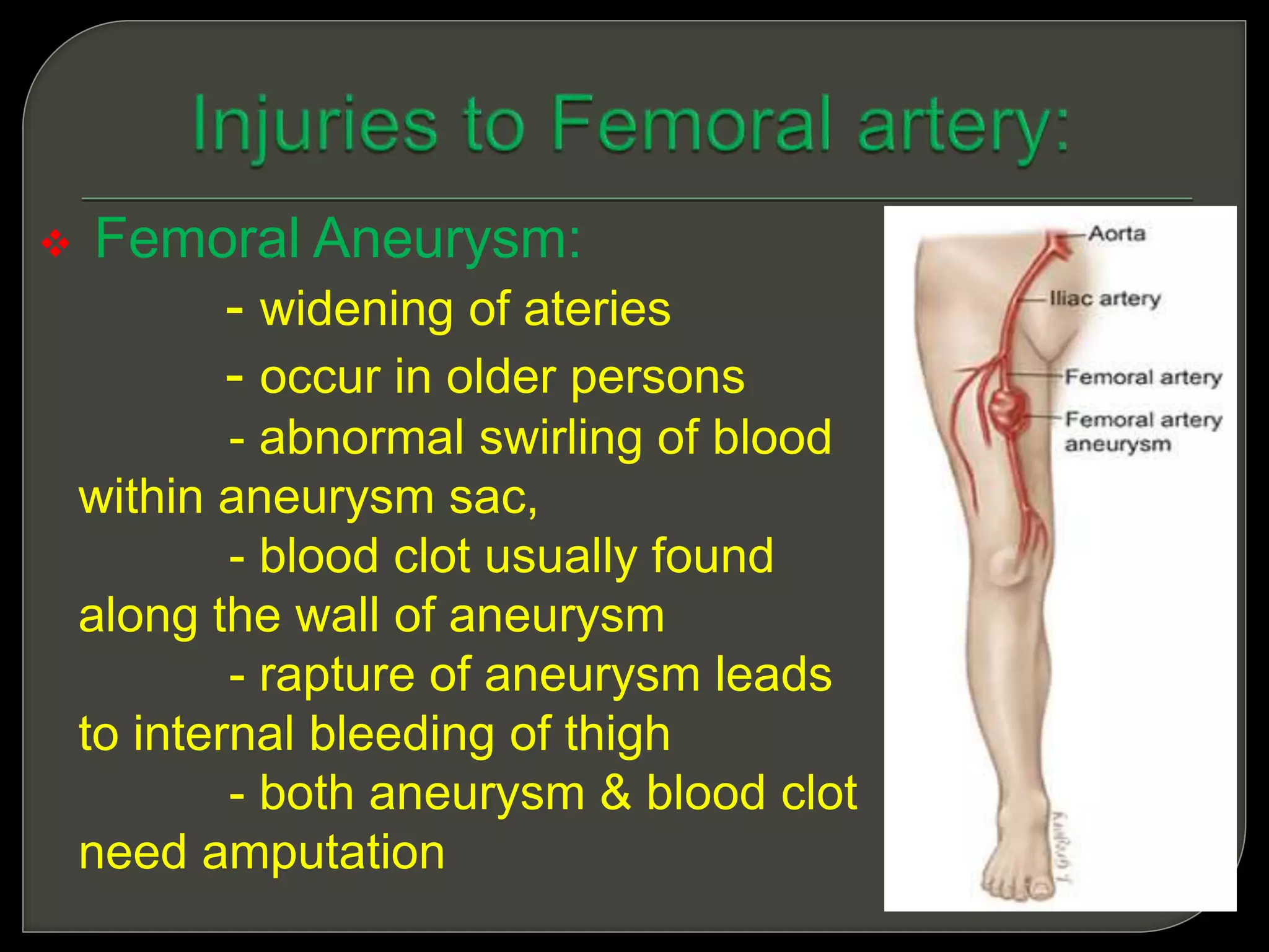Anatomy of thigh region | PPTX