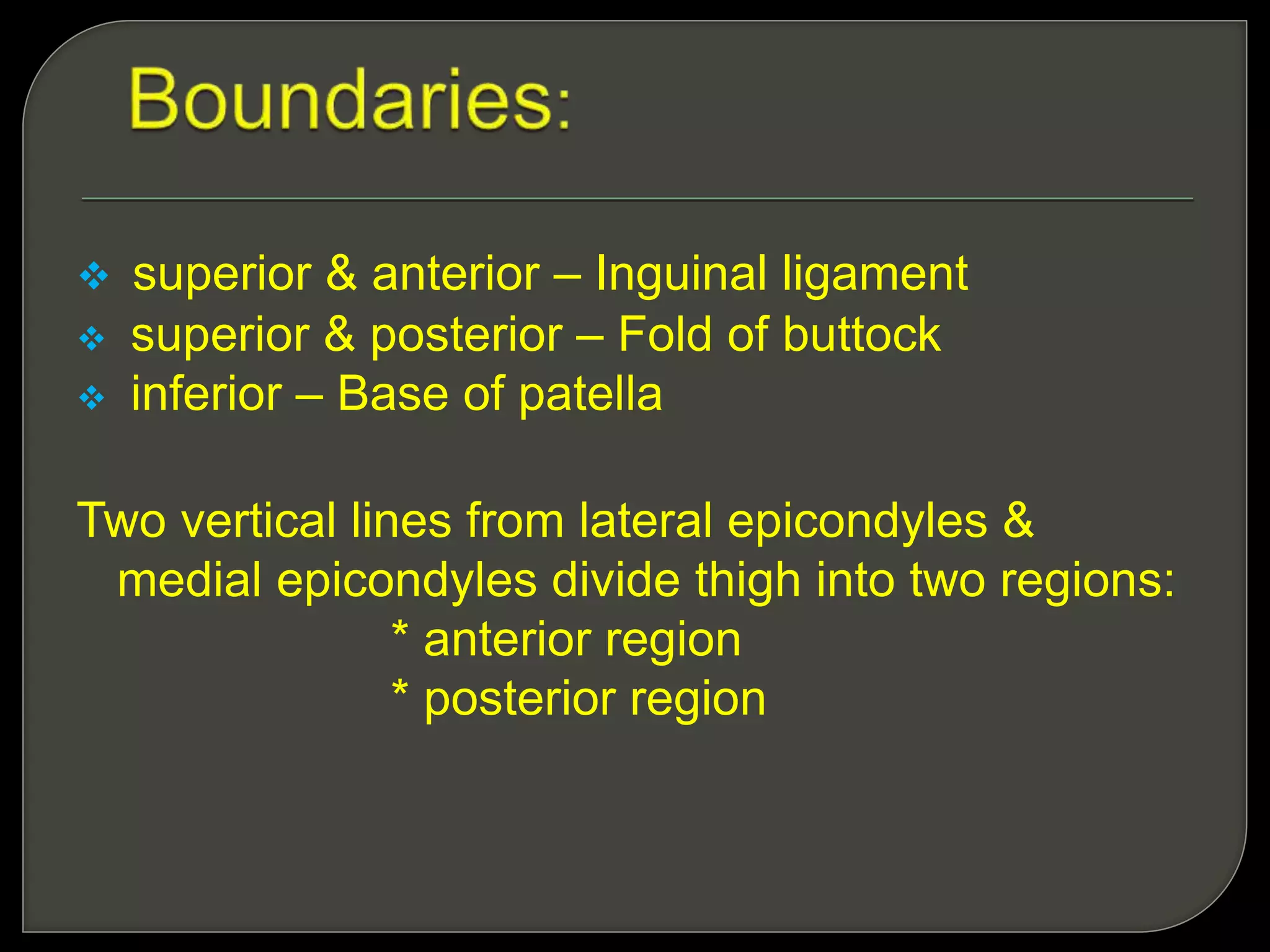 Anatomy of thigh region | PPTX