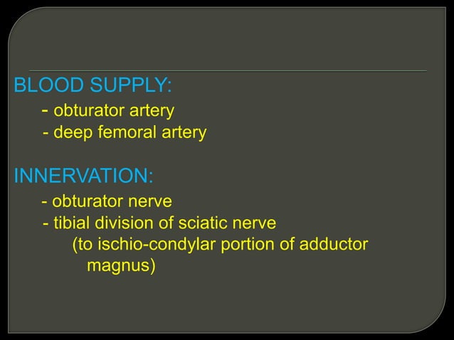 Anatomy of thigh region | PPTX
