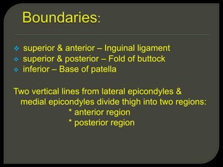 Anatomy of thigh region | PPTX