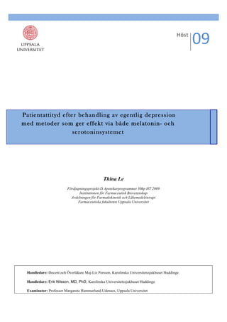 Thinale.examensarbete | PDF