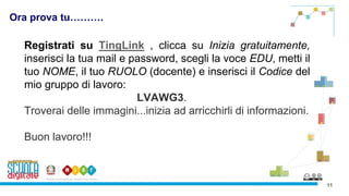 Thinglink format ws | PPTX