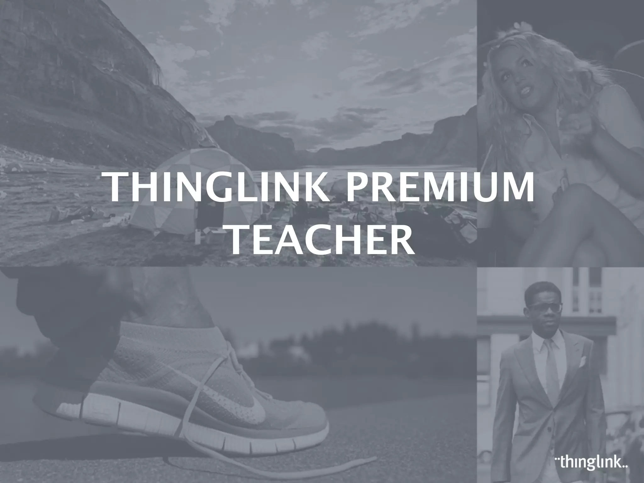 ThingLink Premium Education | PDF