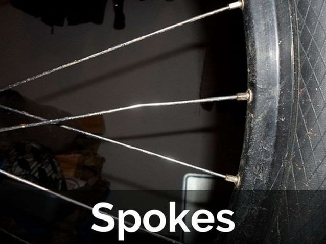 10 Things That Bend | PPTX