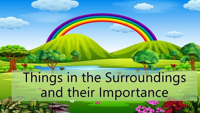 Things in the Surroundings and their Importance.pptx | Chemistry | Science