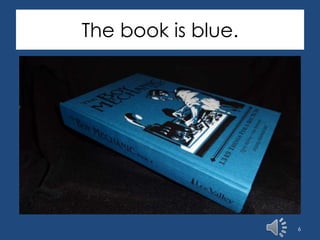 Things that are blue | PPSX