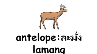 Letter A Words with Thai translation | PPTX
