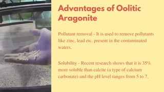 Things to Know About Oolitic Aragonite | PPTX
