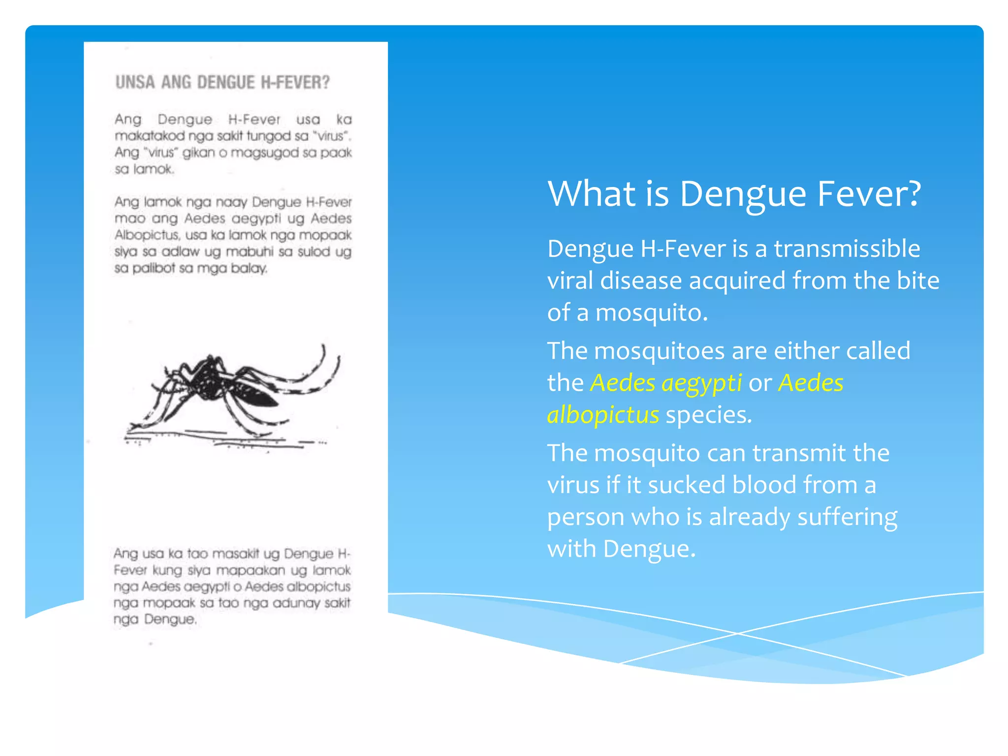 Things you need to know about dengue fever | PPTX