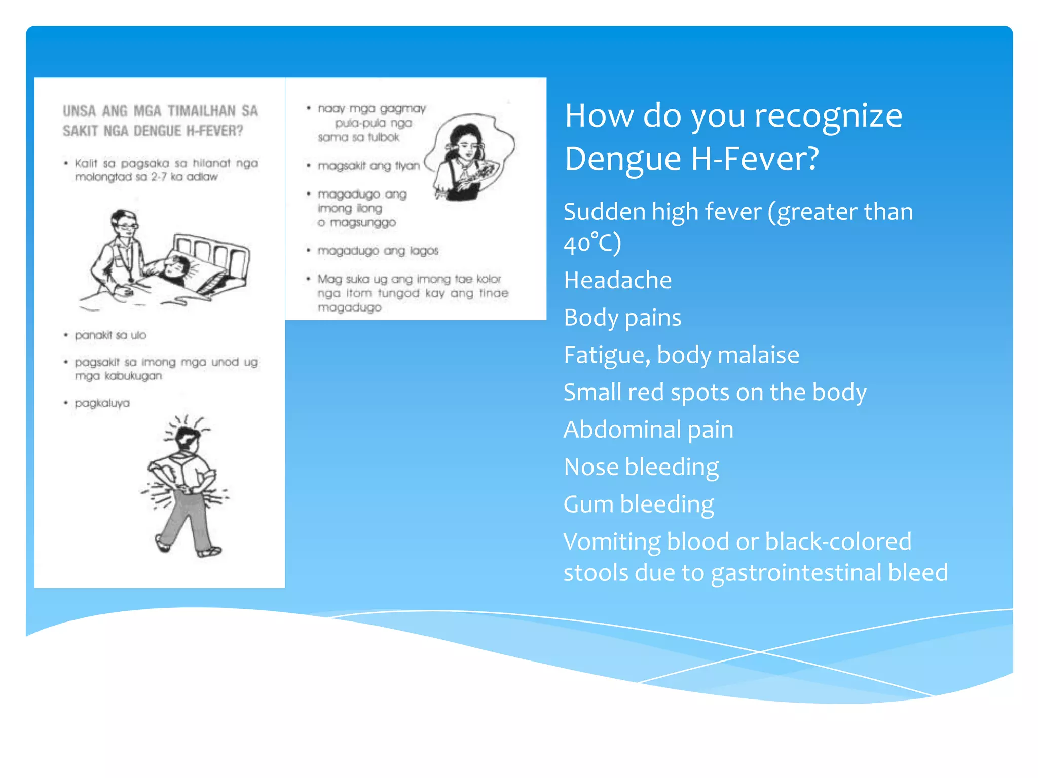 Things you need to know about dengue fever | PPTX