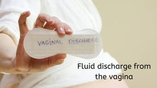 Things You Need To Know About Miscarriage | PDF
