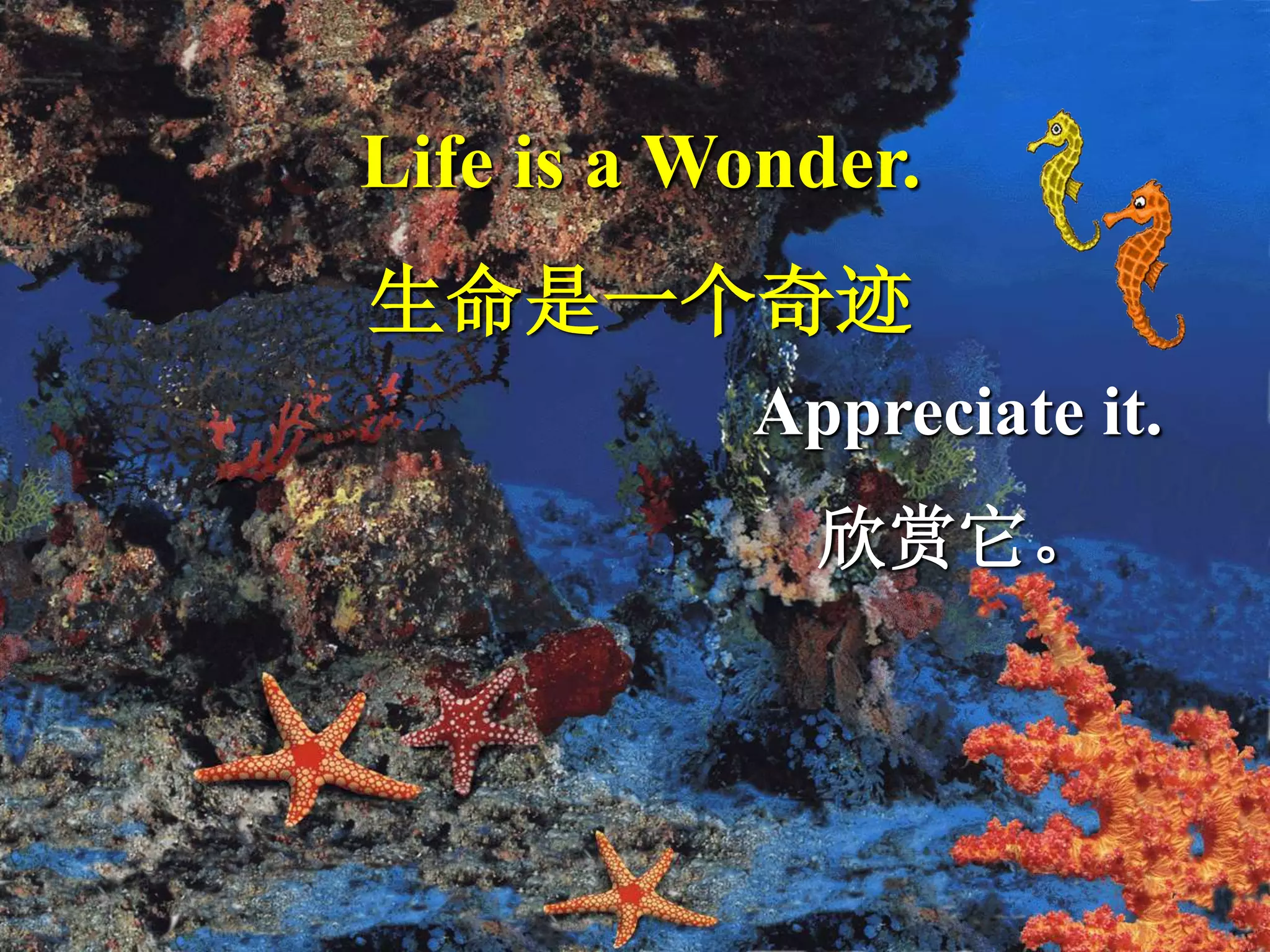 Think and Reflect | PPT