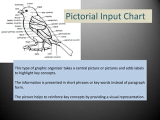 Think graphic organizers! | PPTX