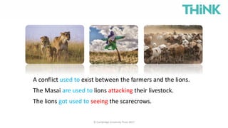 Think_level_4 Grammar Presentation 1.pptx