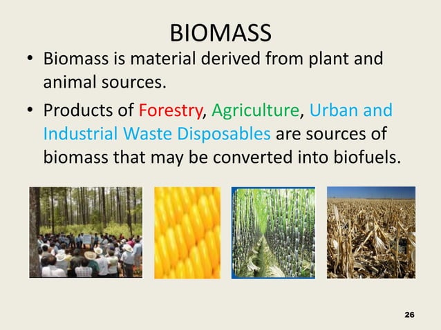Think of Biomass for Energy | PPT