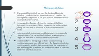 Thin layer chromatographic analysis of Beta Lactam Antibiotics | PPTX
