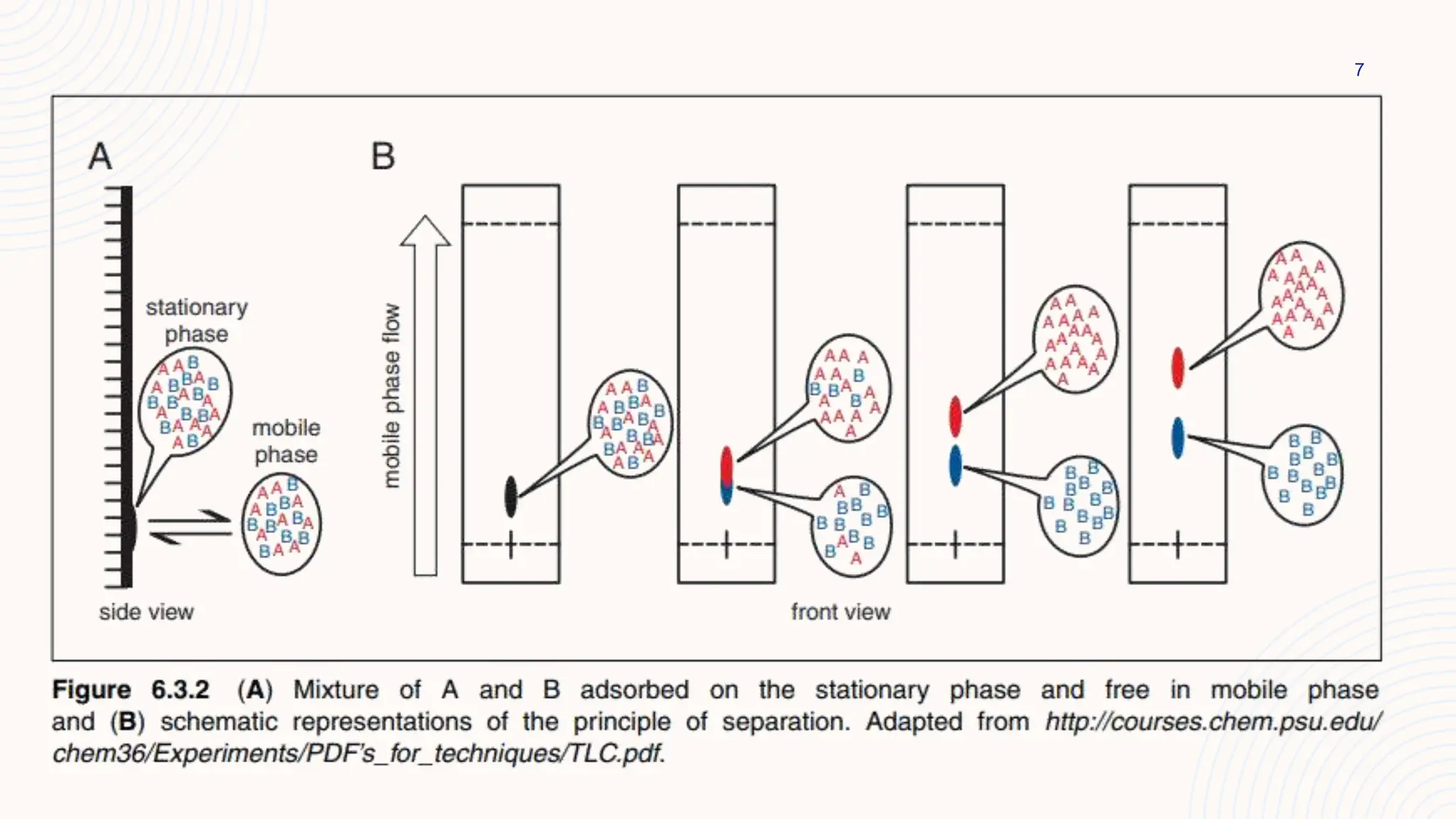 THIN LAYER CHROMATOGRAPHY.pptx