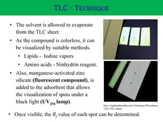 Thin_layer_chromatography zoology pg student | PPT