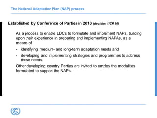 Thinley Namgyel, Member of the LEG: Introducing the NAP Process and the ...