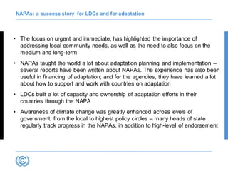 Thinley Namgyel, Member of the LEG: Introducing the NAP Process and the ...