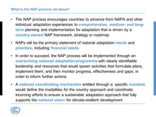 Thinley Namgyel, Member of the LEG: Introducing the NAP Process and the ...