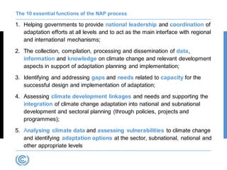 Thinley Namgyel, Member of the LEG: Introducing the NAP Process and the ...