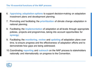 Thinley Namgyel, Member of the LEG: Introducing the NAP Process and the ...