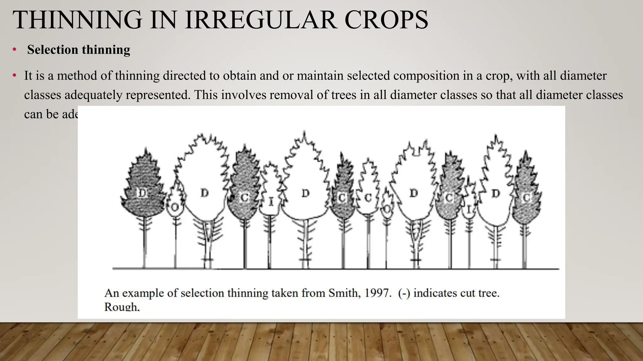 thinning and its effect on growth and yield.pptx