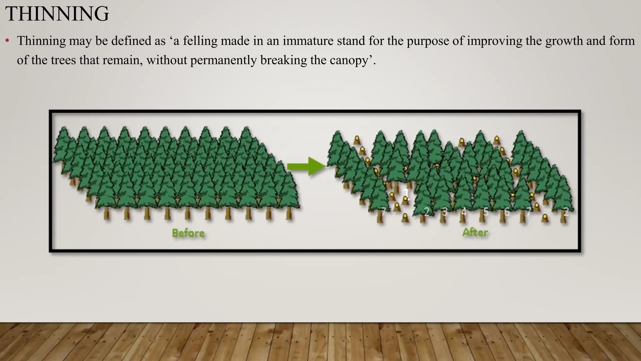 thinning and its effect on growth and yield.pptx