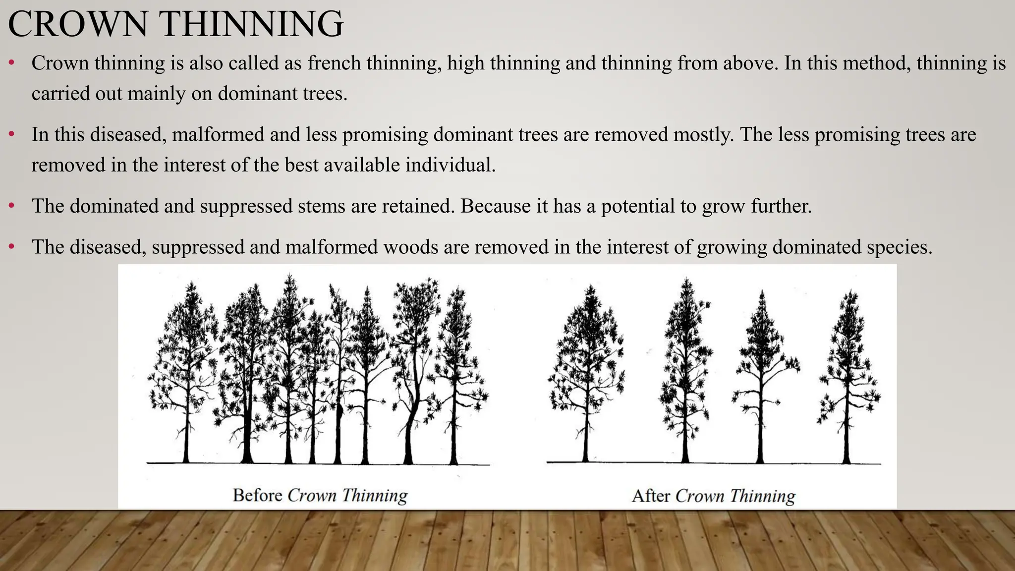 thinning and its effect on growth and yield.pptx