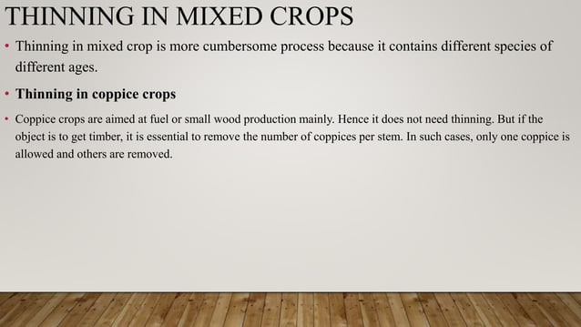 thinning and its effect on growth and yield.pptx | Woodworking | Arts ...