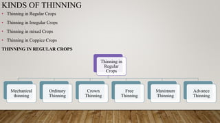 thinning and its effect on growth and yield.pptx
