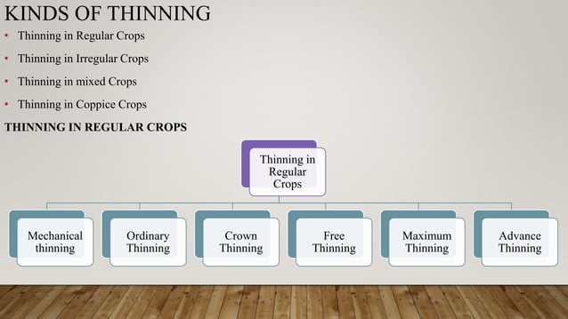 thinning and its effect on growth and yield.pptx