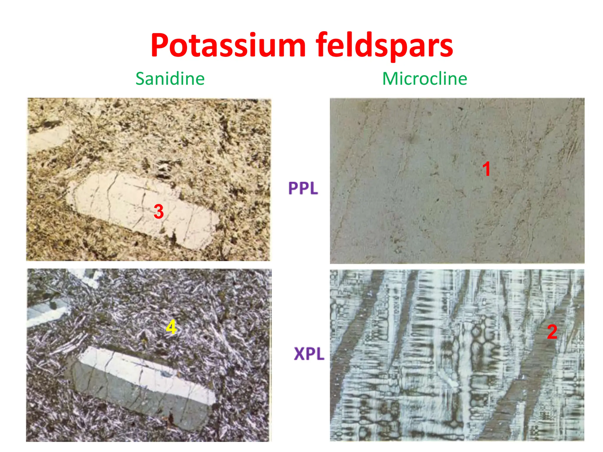 thinsection in petrology geology classes.pptx