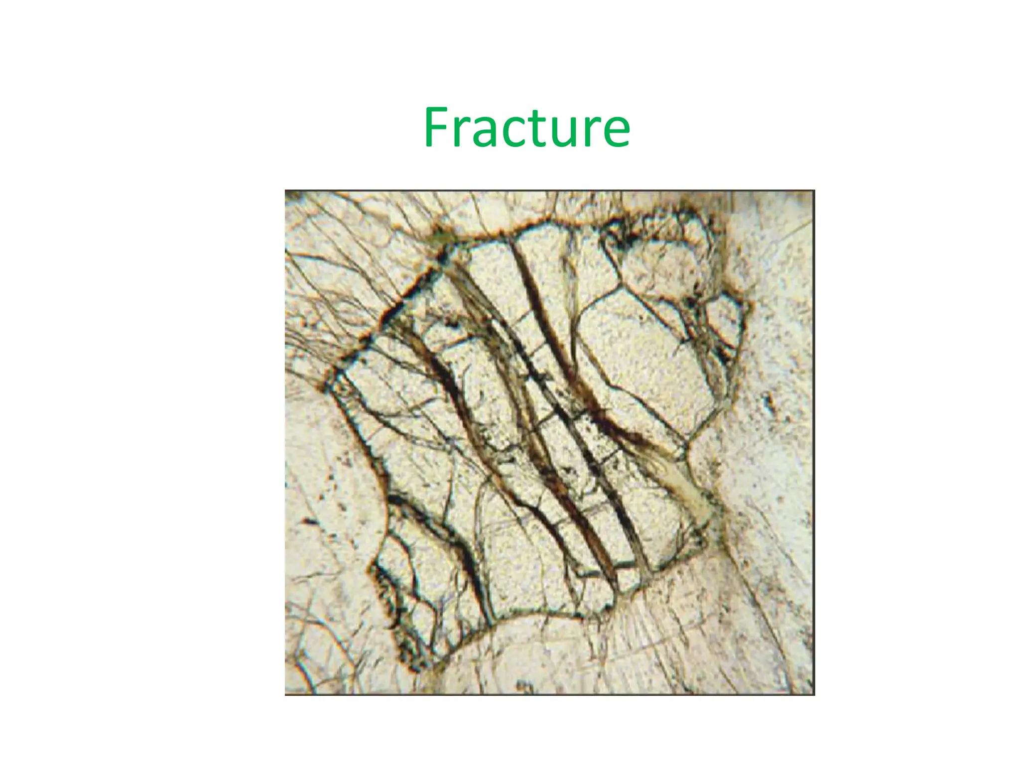 thinsection in petrology geology classes.pptx