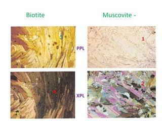 thinsection in petrology geology classes.pptx