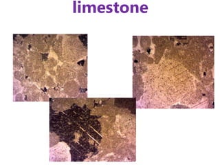 thinsection in petrology geology classes.pptx