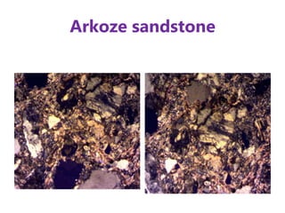 thinsection in petrology geology classes.pptx