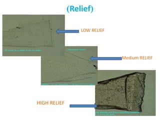 thinsection in petrology geology classes.pptx