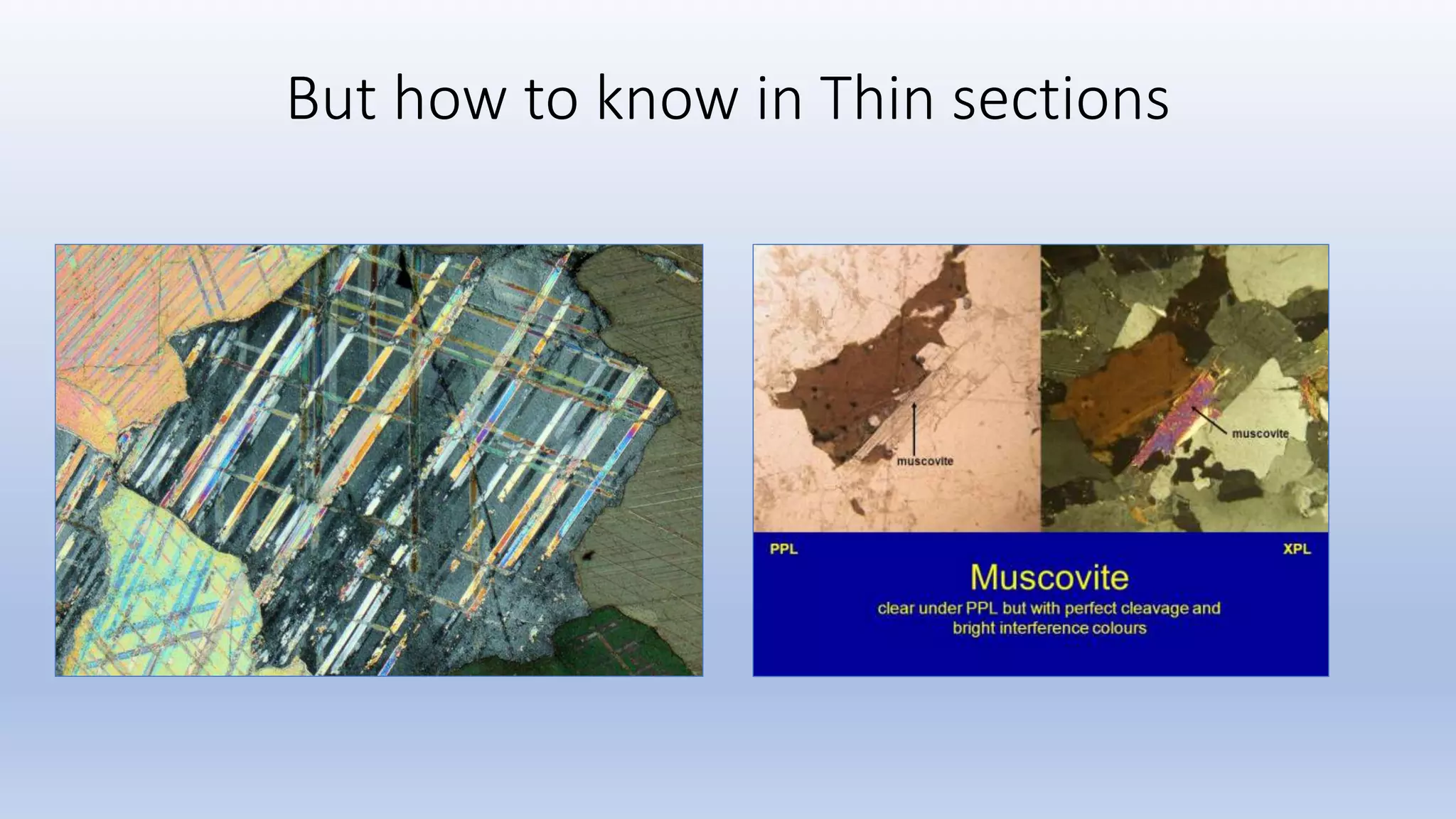 Thin sections | PPTX