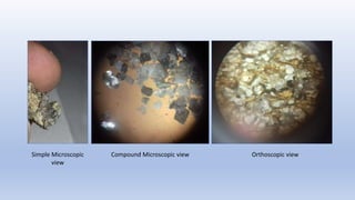 Thin sections | PPTX