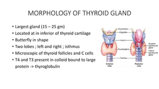 Th introduction | PPT
