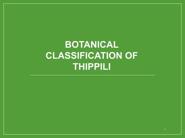 Thippli Medicine plant.pptx