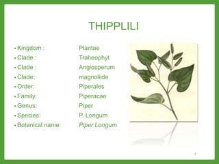Thippli Medicine plant.pptx