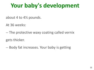 Third trimester | PPTX