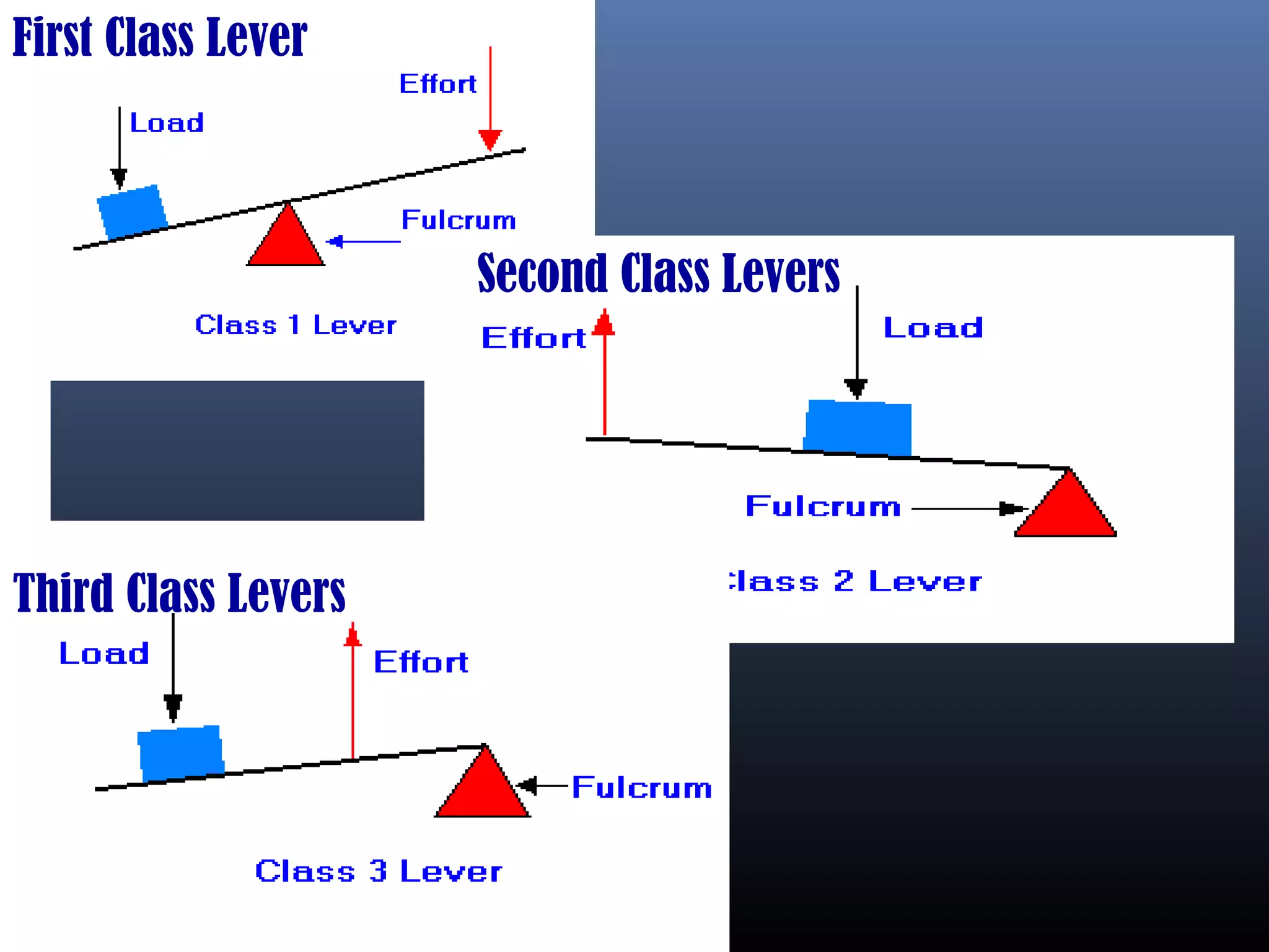 Third class levers | PPT