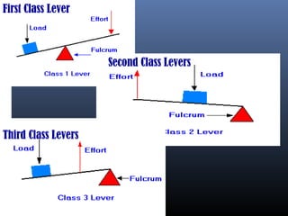 Third Class Lever Diagram
