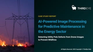 ThirdEye Data - Case Study AI-Powered Image Processing for Predictive Maintenance in the Energy ...